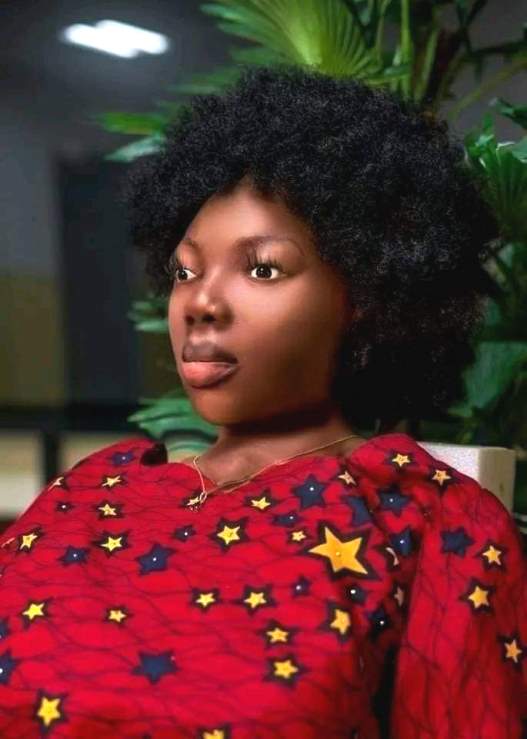 Meet Omeife: Africa’s first humanoid robot and a Made-in-Nigeria multi ...