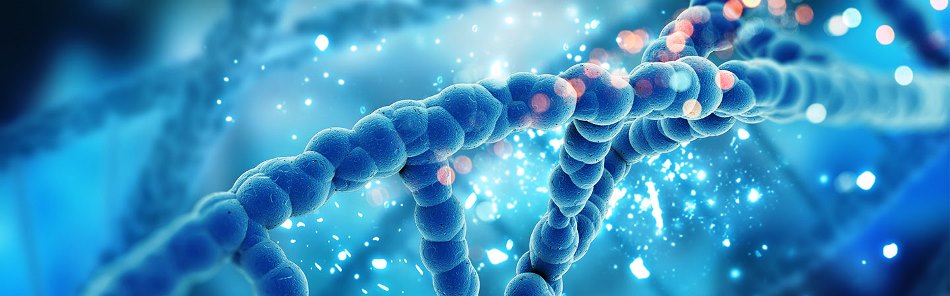 DNA, RNA and PEPTIDE as media for data storage - ITEdgeNews